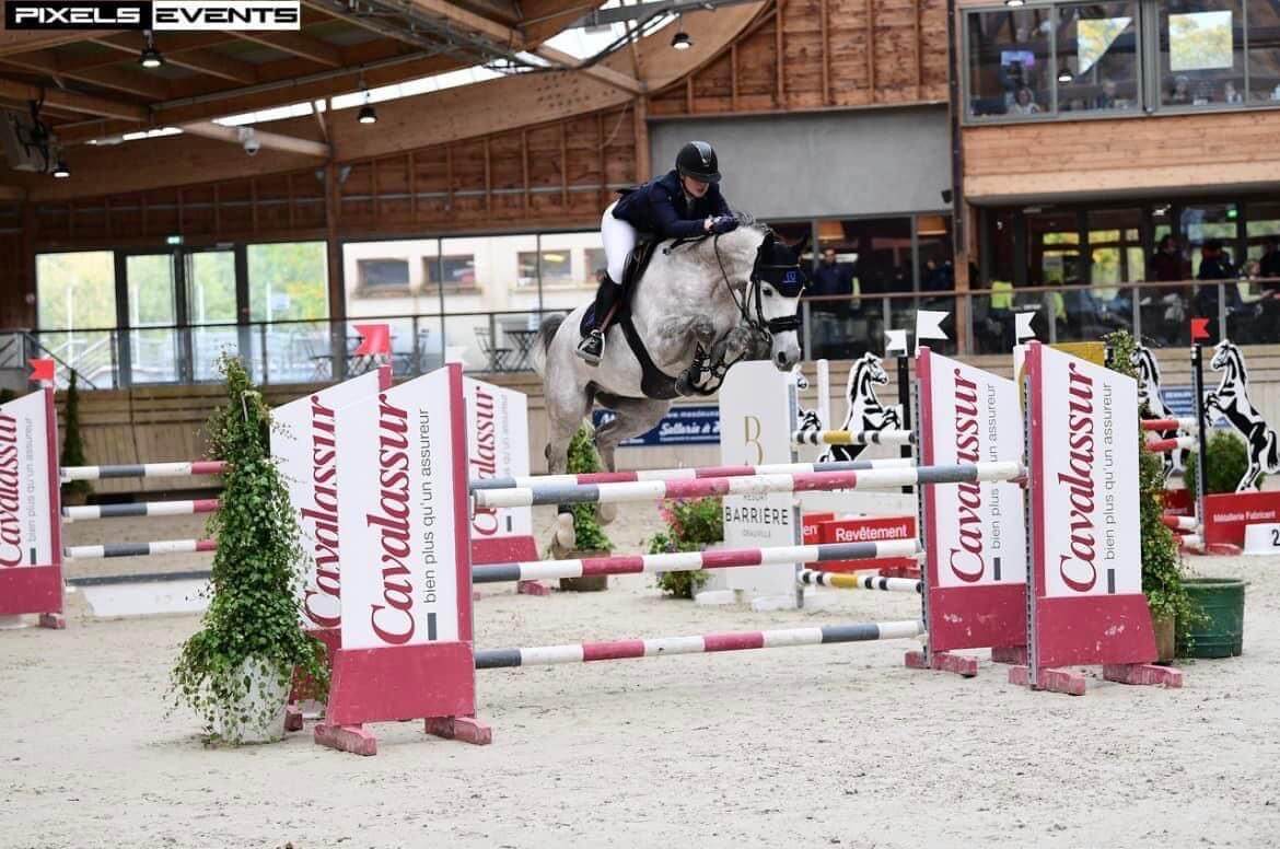 Contact - Horse Agency